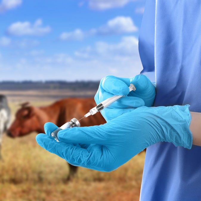 APVMA Code of GMP (Veterinary Medicines) - GMP eLearning Course
